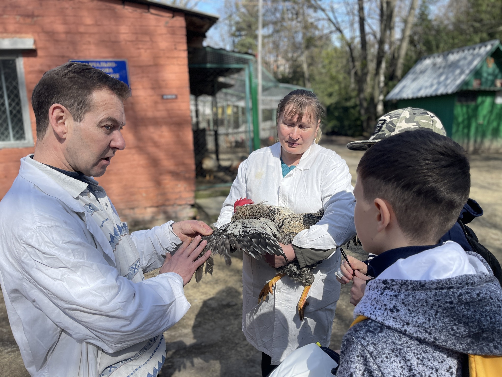 Sustainable Poultry Production Sustainable Livestock Production And